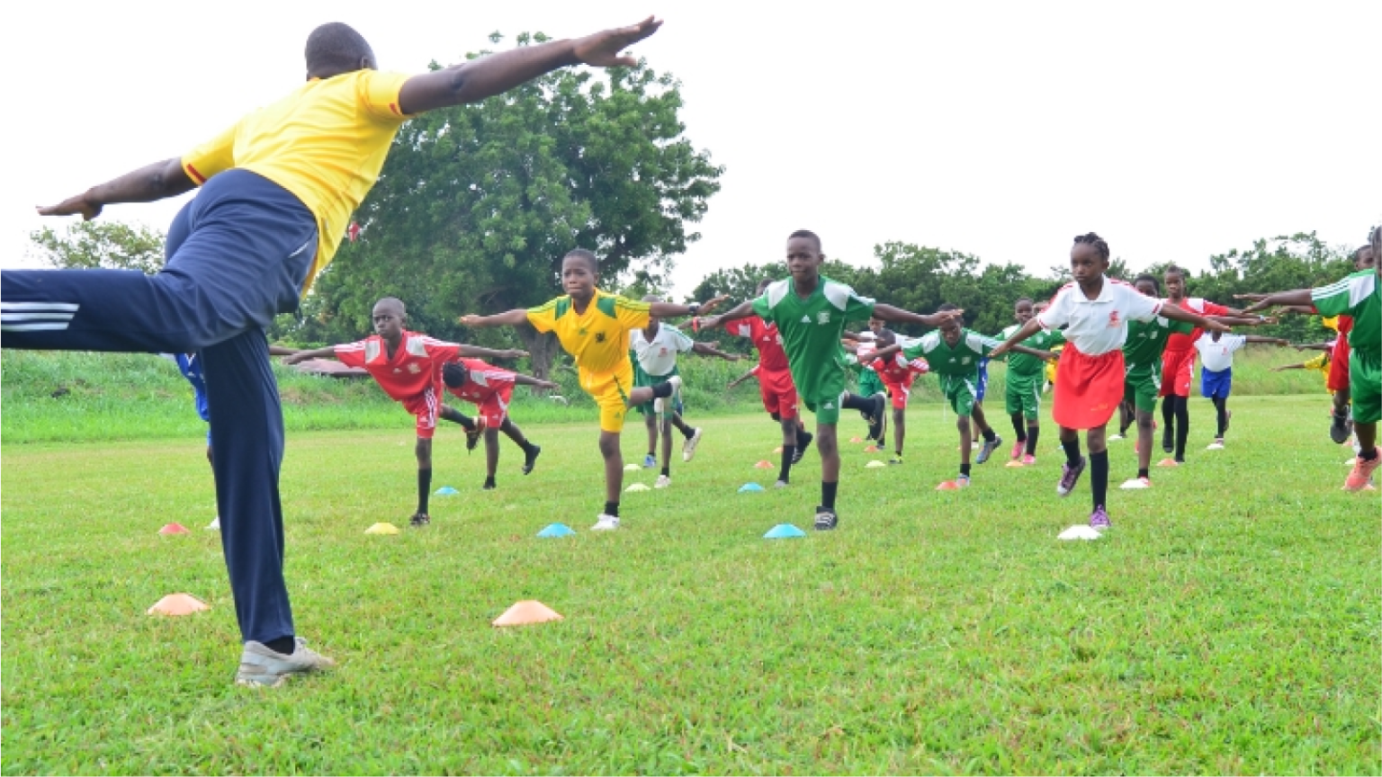 Gallery - Powerfields Schools